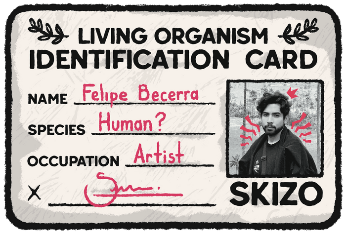 About Skizo